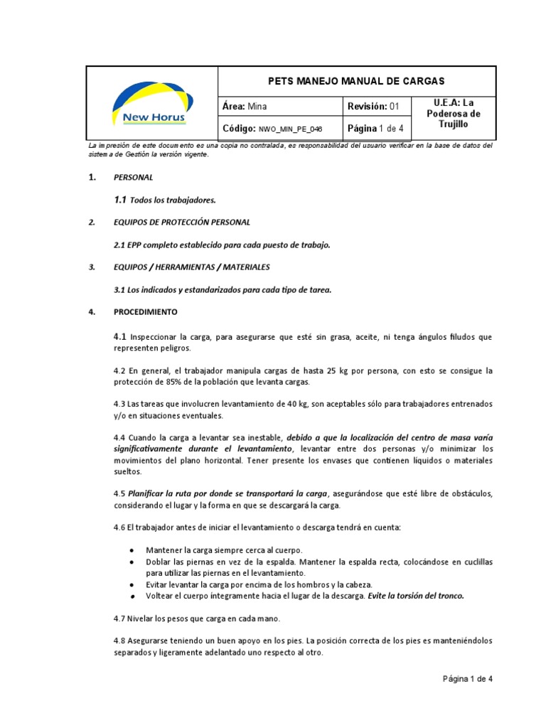 Levantamiento Manual de Cargas | PDF