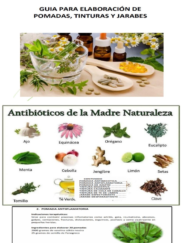 Plantas Medicinales Pdf