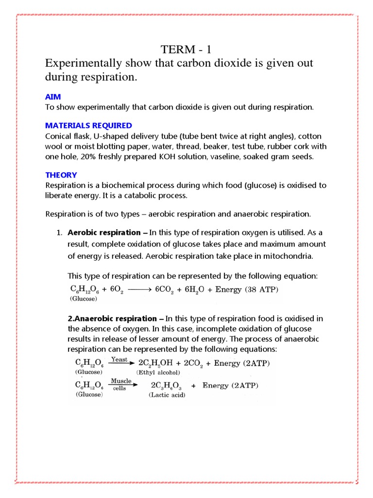 Term - 1 Experimentally Show That Carbon Dioxide Is Given Out During ...