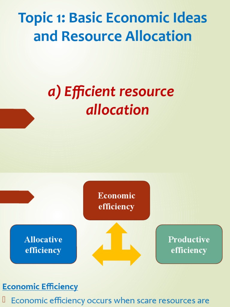 Efficient Resource Allocation Pdf