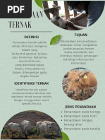 Jenis-Jenis Sapi di Indonesia | PDF