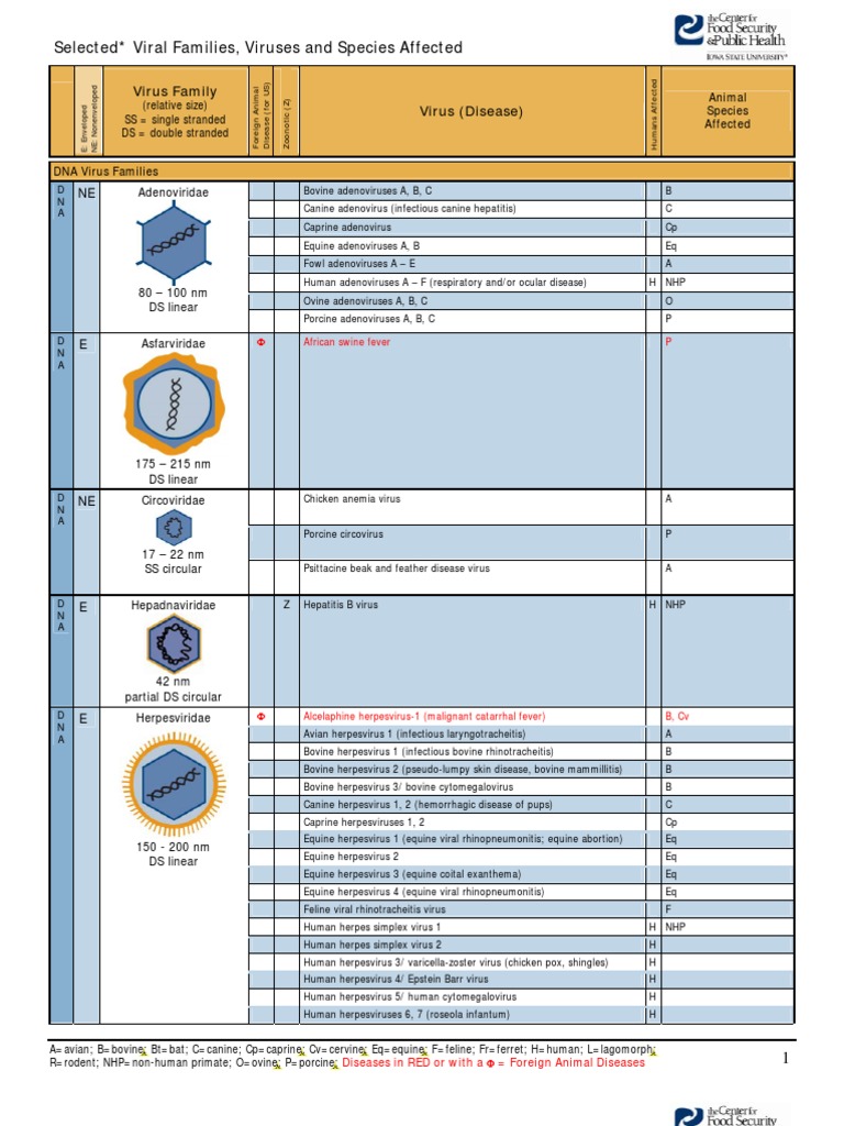 Virus Family Table | PDF