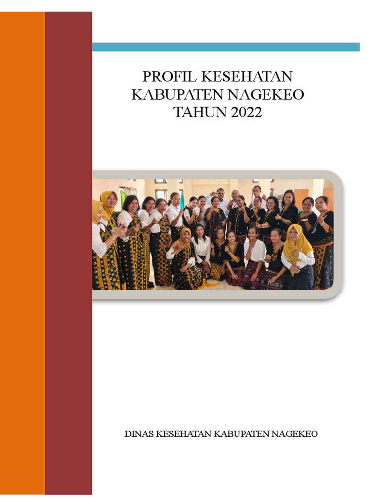 COVER Profil DINKES | PDF