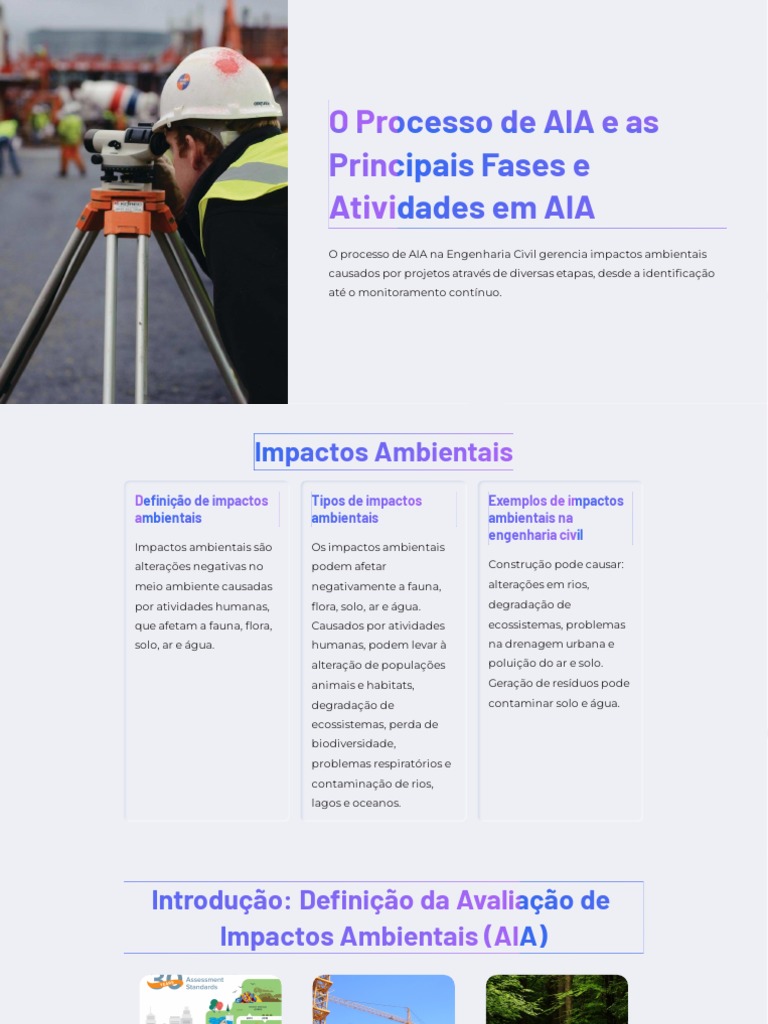 O Processo de AIA e As Principais Fases e Atividades em AIA Na ...