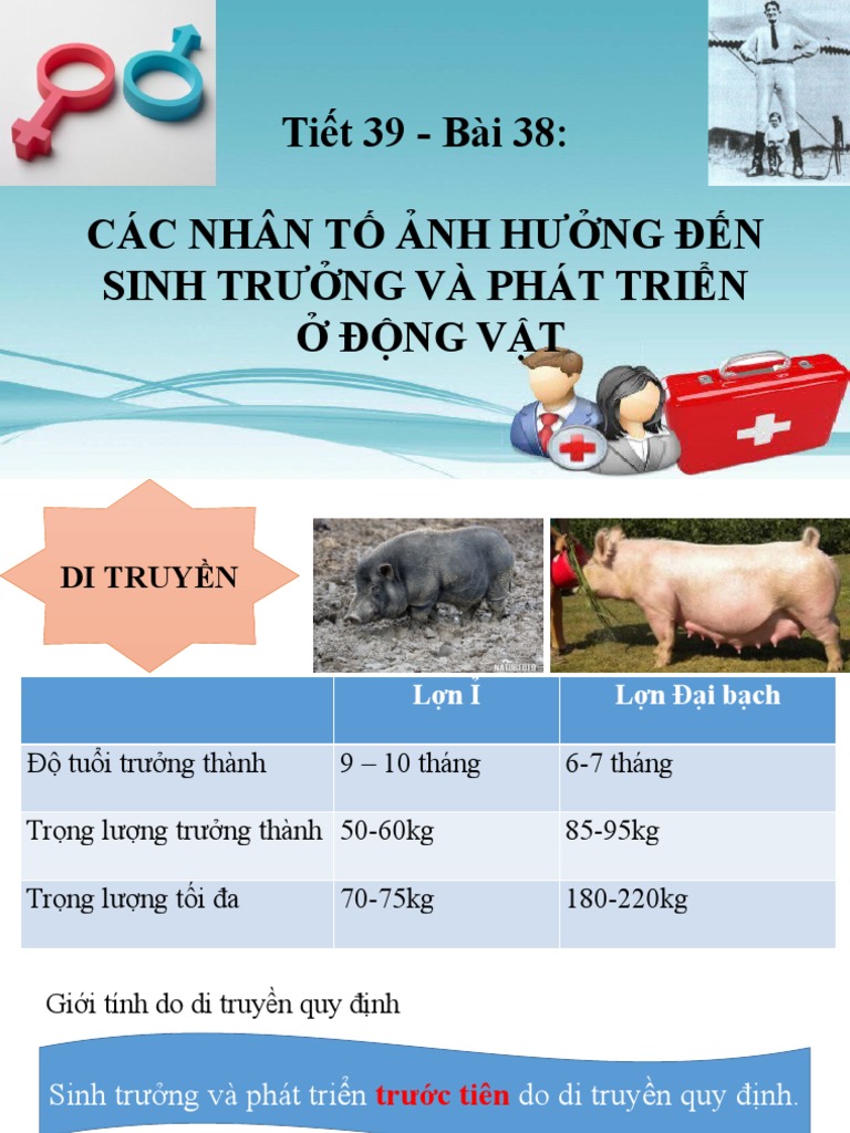 Bai 38 Cac Nhan To Anh Huong Den Sinh Truong Va Phat Trien o Dong Vat | PDF