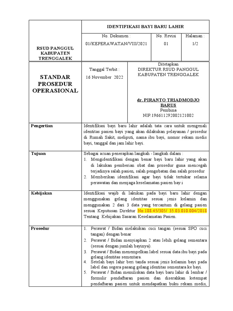 Revisi Spo Identifikasi Bayi Baru Lahir | PDF