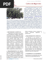 Ficha Kikuyo | PDF