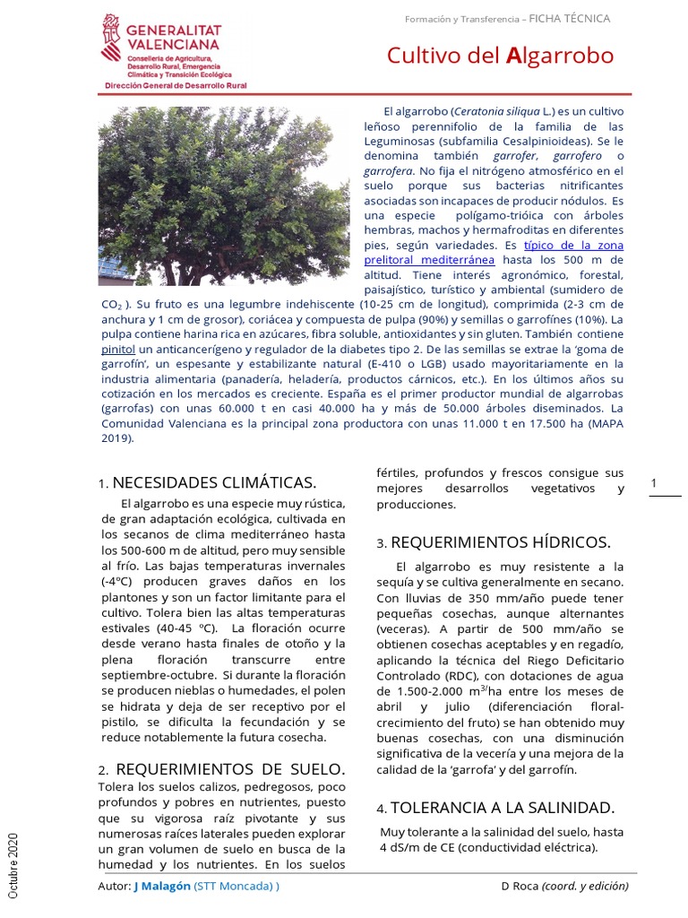 CULTIVO Del ALGARROBO..Ficha Técnica PDF | PDF | Agricultura | Botánica