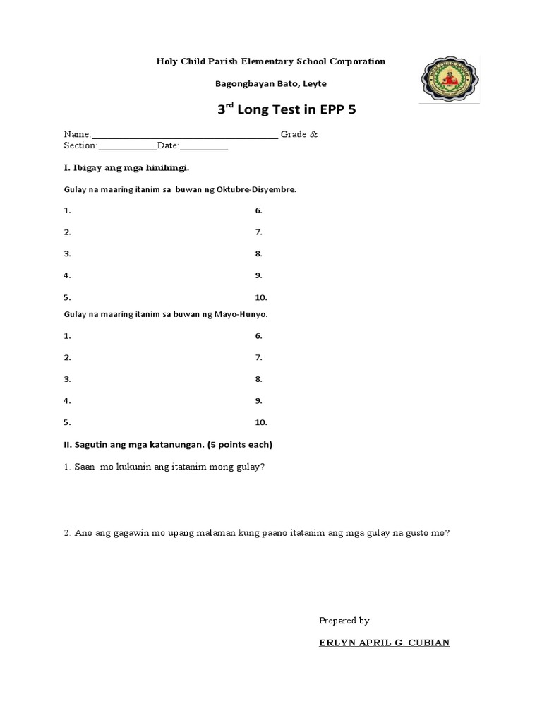 3rd Long Test in Epp 5 | PDF