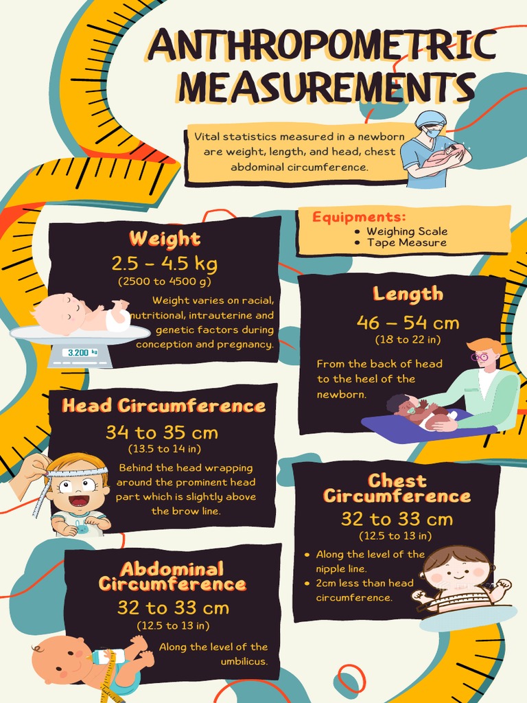Anthropometric-Measurements-1 | PDF