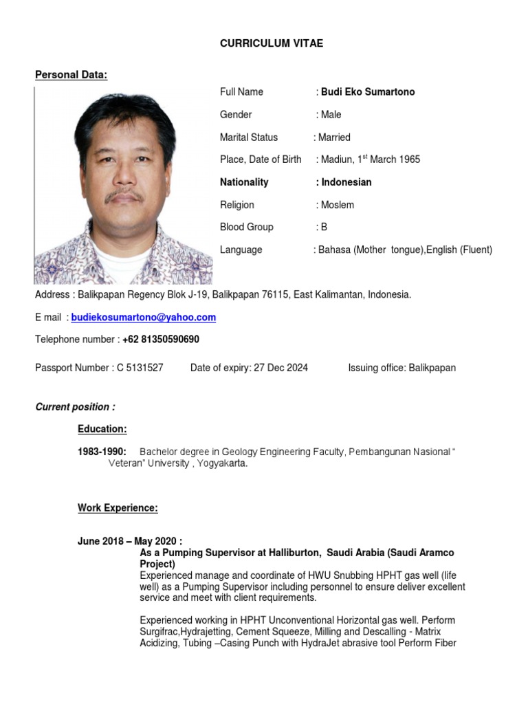 CV 2020 - Newest | PDF | Oil Well | Risk