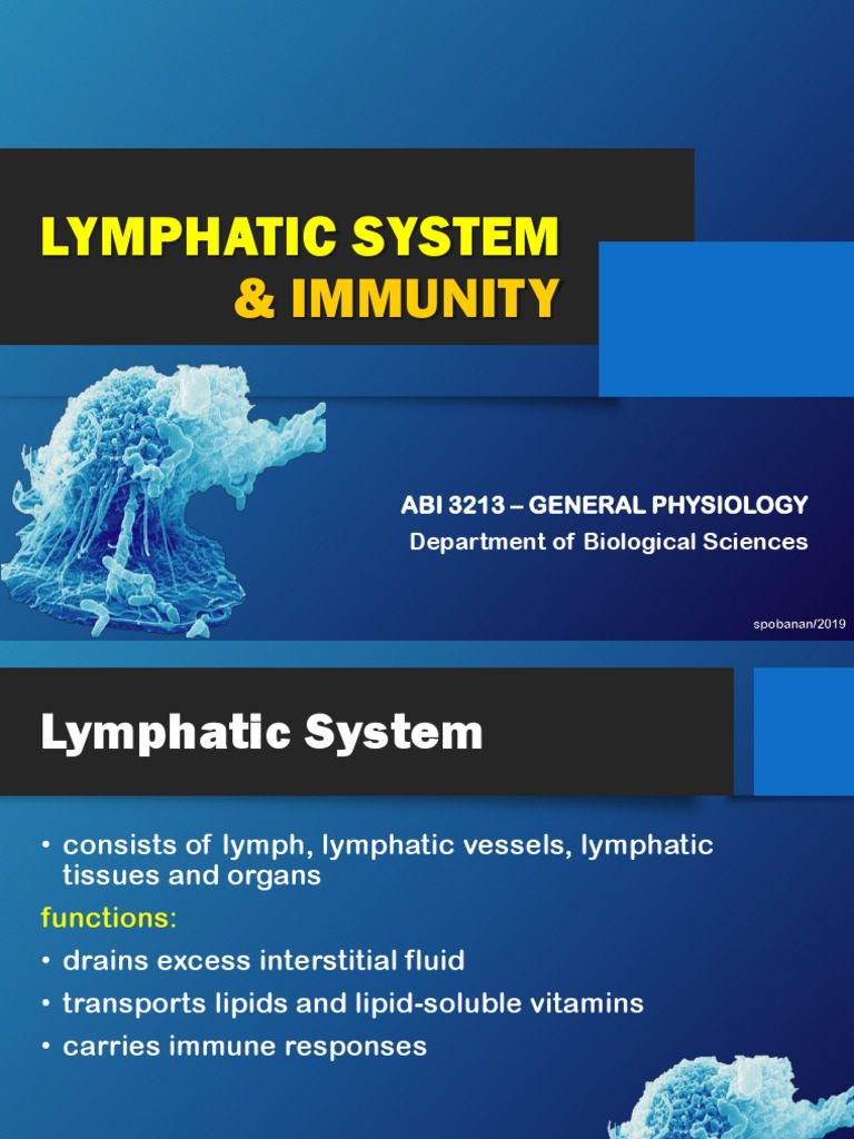 Lymphatics Immunity PDF | PDF | Lymphatic System | Immune System