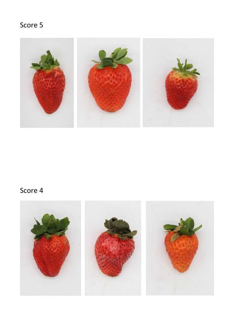 Strawberry Quality Scoring Chart | PDF