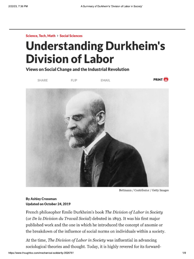 Durkheim Division of Labour PDF | PDF