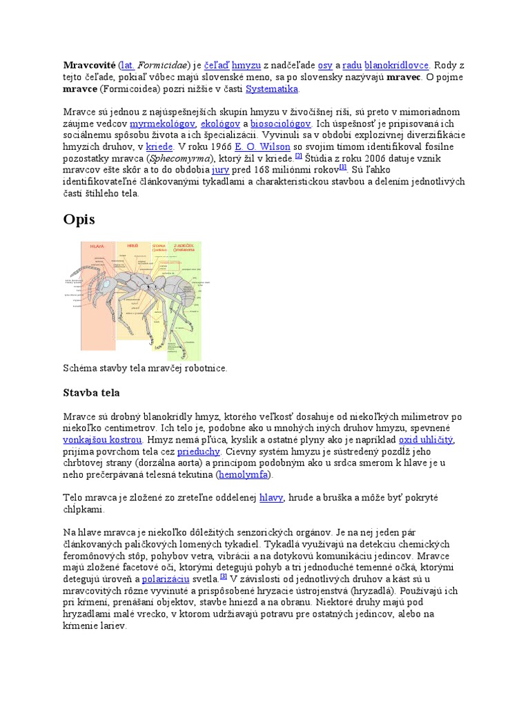 Mravce | PDF