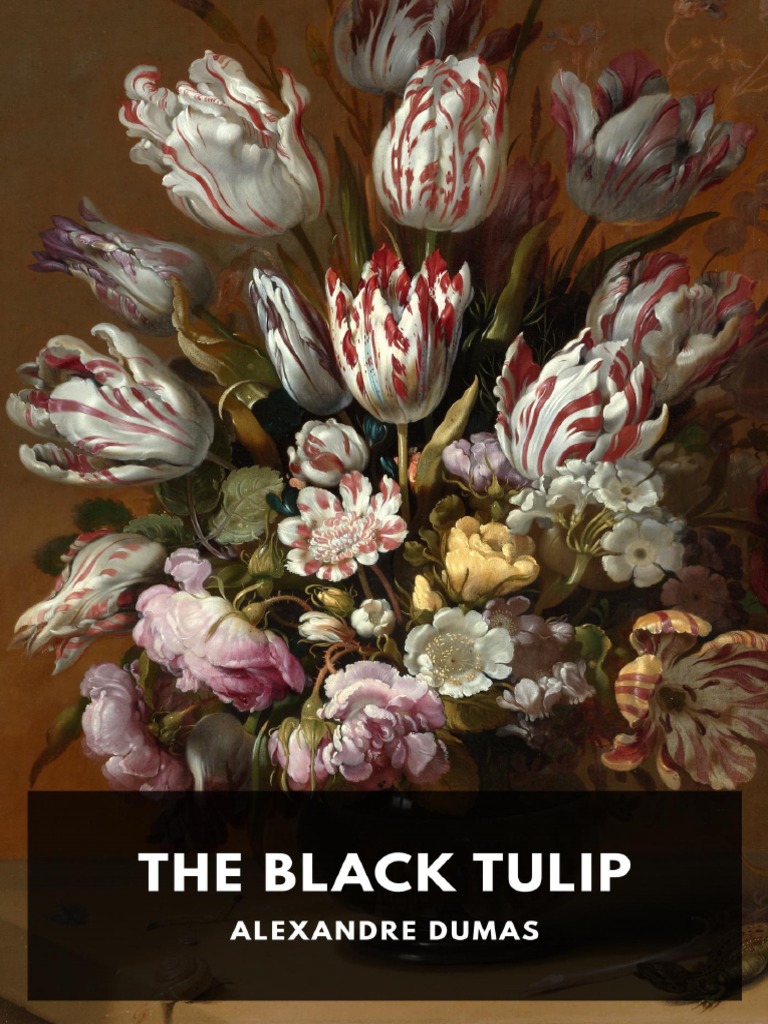 The Black Tulip - Alexandre Dumas - PDF Room PDF | PDF