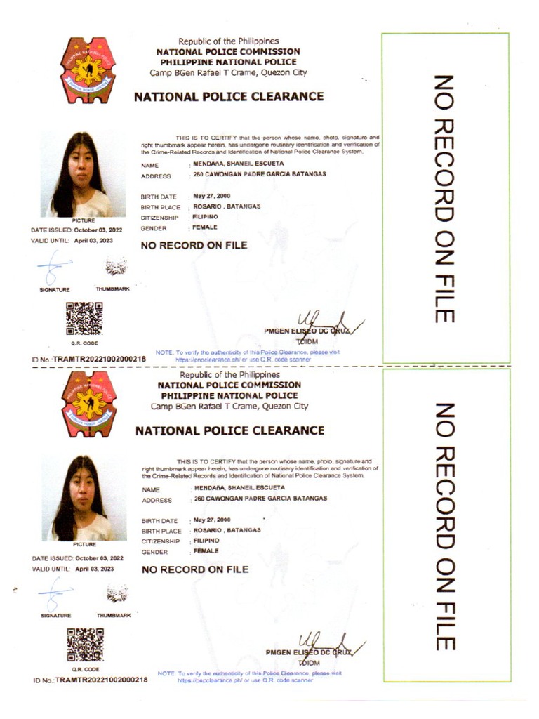 Police Clearance PDF | PDF