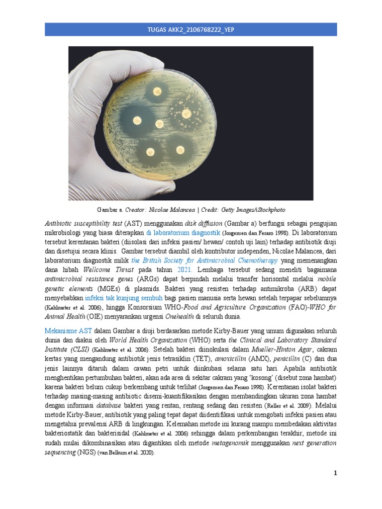 Tugas AKK2 - Yudith Vega | PDF