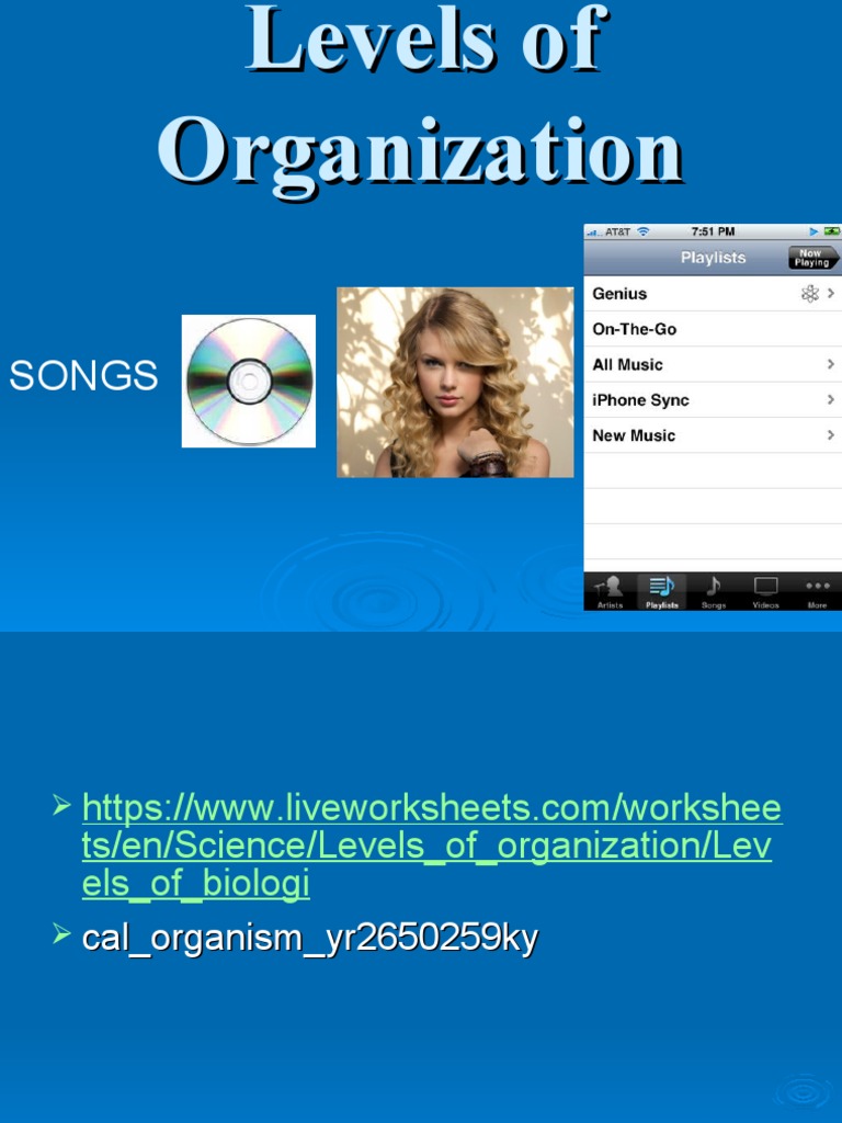 Levels of Biological Organization | PDF