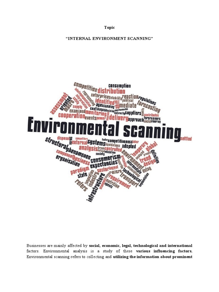 Internal Environment Scanning-Unit - 2 | PDF
