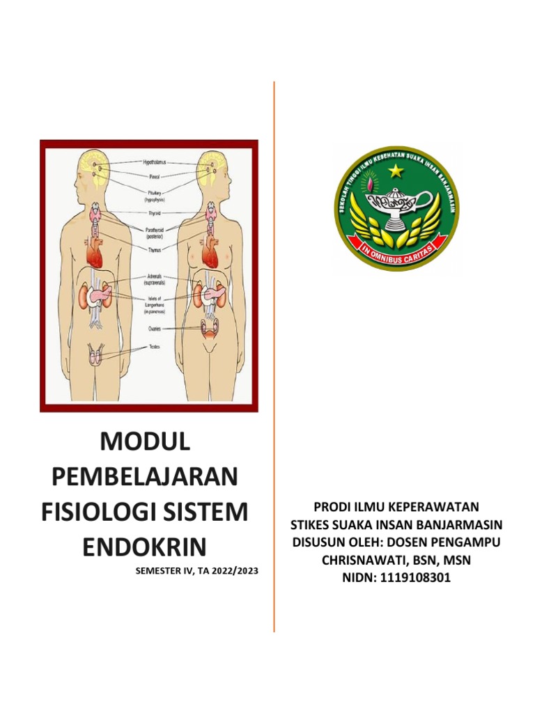 Modul Fisiologi Sistem Endokrin PDF | PDF