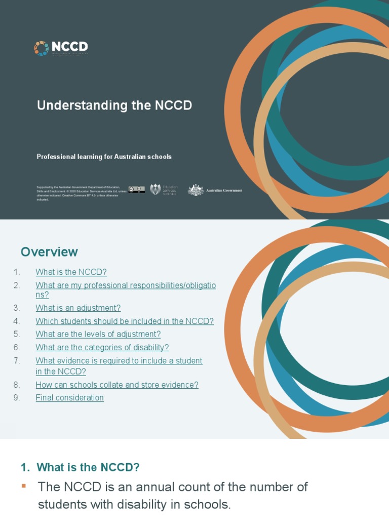 Understanding The NCCD | PDF