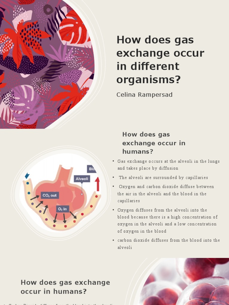 How gas exchange occur in different organsims | PDF