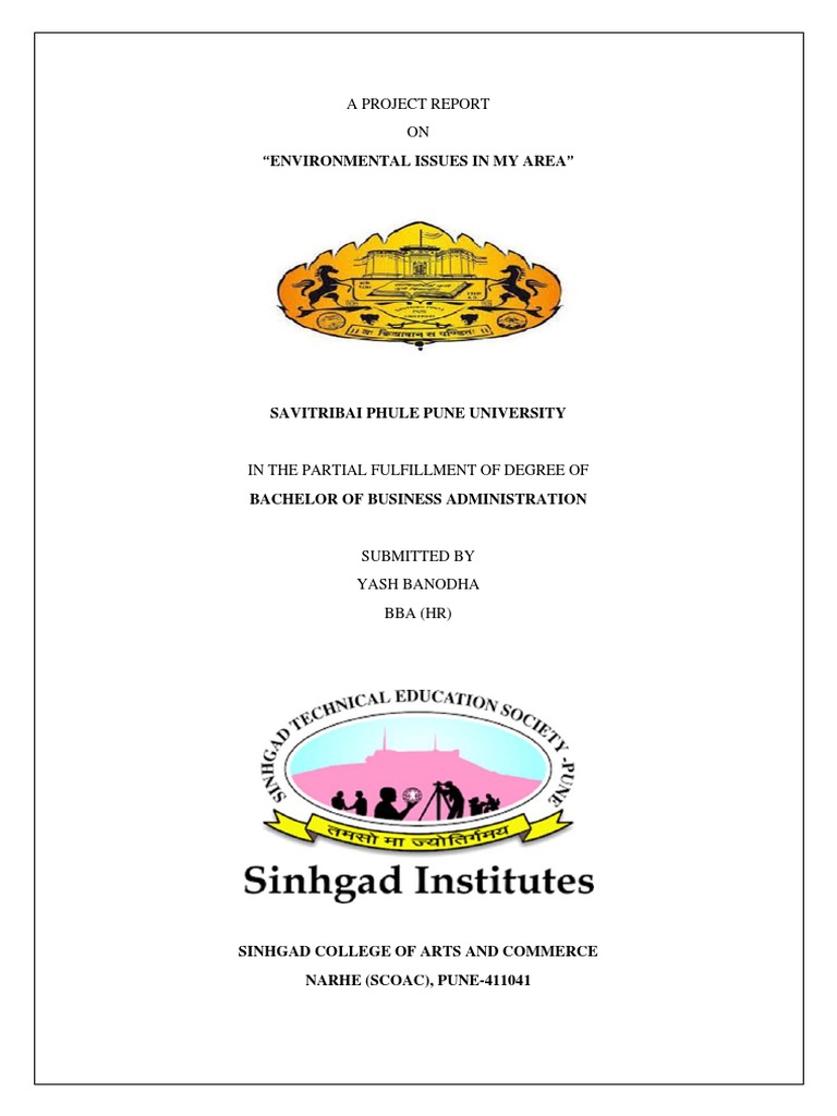 Evs Project Yash PDF | PDF