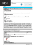 Xs-Pt-904210-12-P3-Horolith V (116898e) | PDF