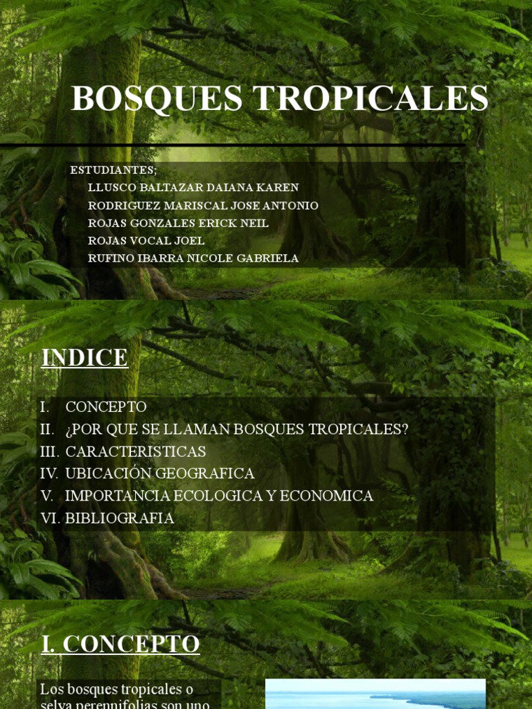 Bosques Tropicales | PDF | Los bosques | Selva