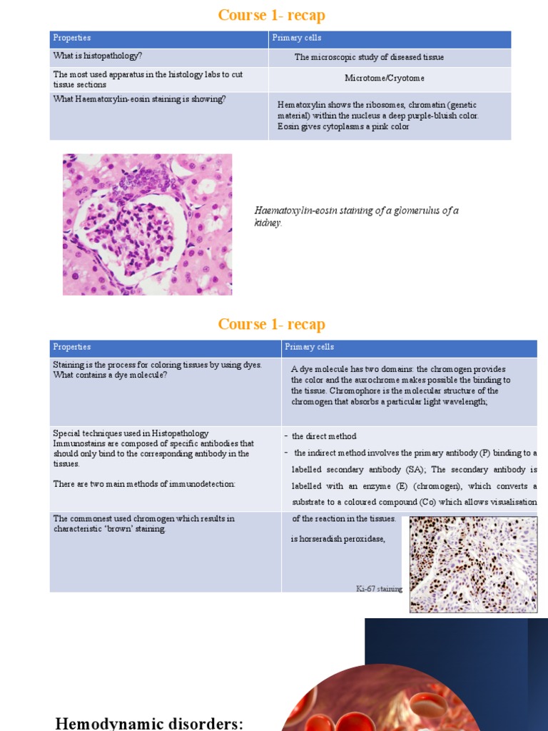 Histopathology - c2 - Hemodynamic Disorders - Master | PDF | Hemostasis ...