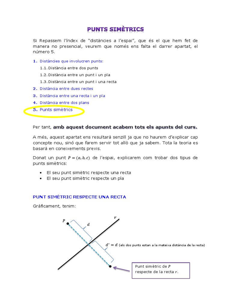 Apunts 2n BAT Punts Simètrics | PDF