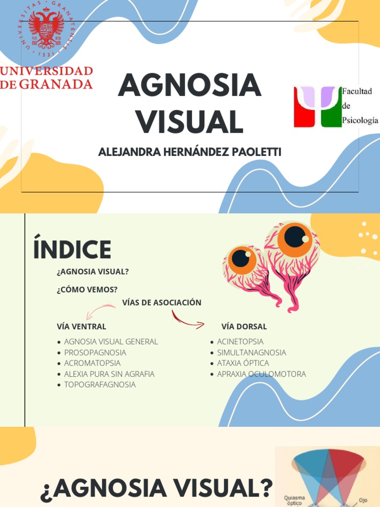 Agnosia Visual: Tipos y Procesos | PDF | Percepción visual | Corteza visual