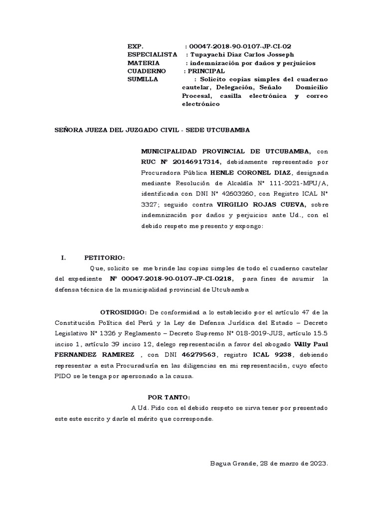 Solicito Copias Simples Exp 047-2018 | PDF