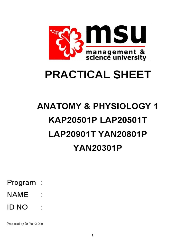 Lab Anatomy and Physiology 1 - BBM BFS BNT BHS BCT PDF | PDF