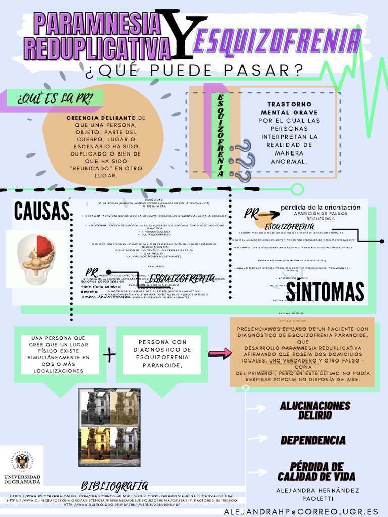 Paramnesia reduplicativa (2).pdf | PDF