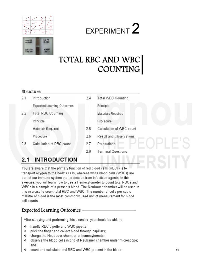 Experiment 2 | Download Free PDF | Red Blood Cell | White Blood Cell