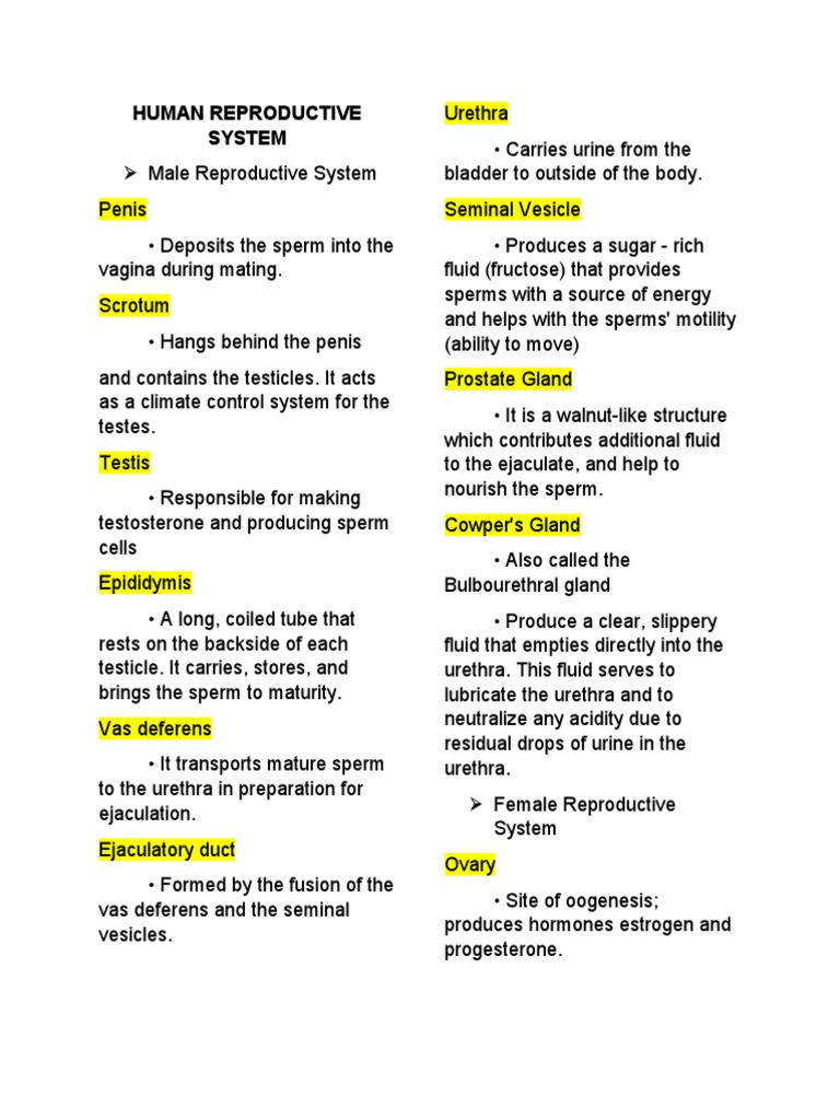 Grade 10 Science Quarter 3 | PDF | Menstrual Cycle | Neuron