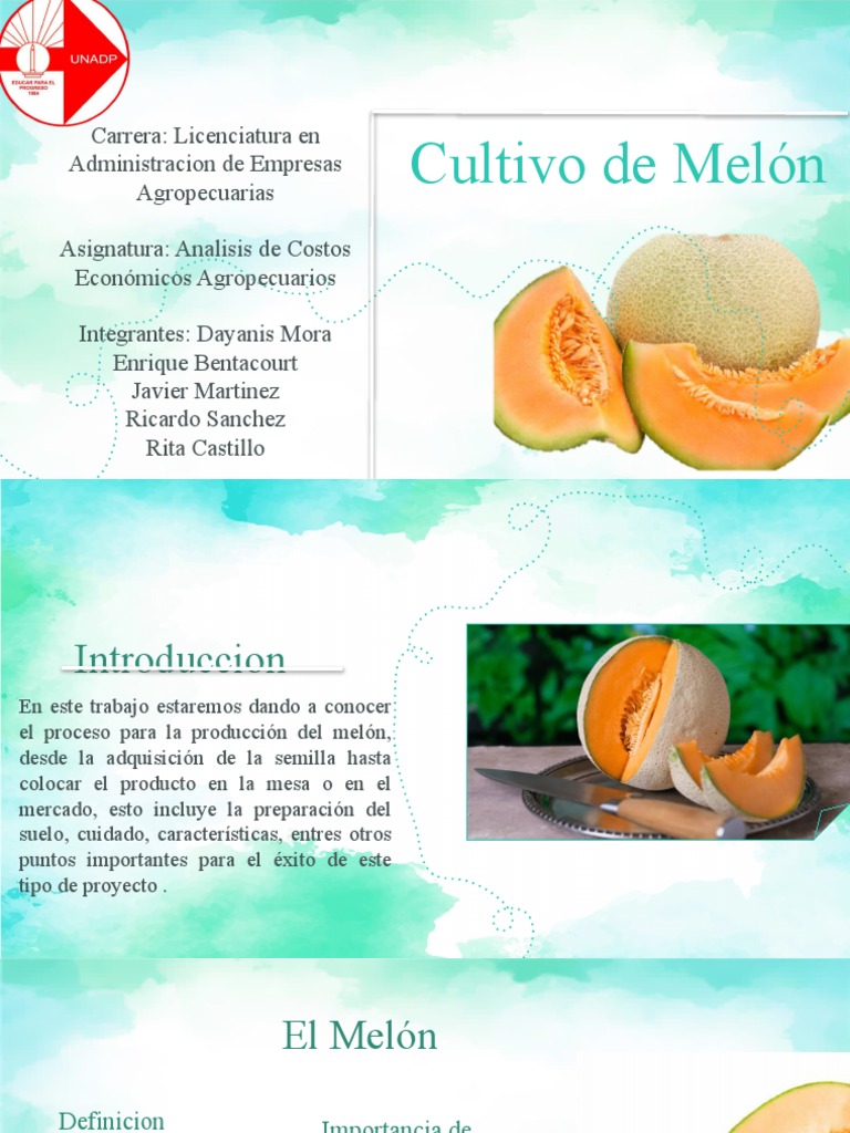 Cultivo Del Melón-Grupo 3 | PDF