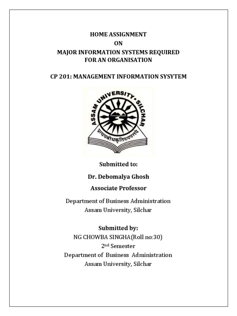 CP 201 - Management Information System | PDF