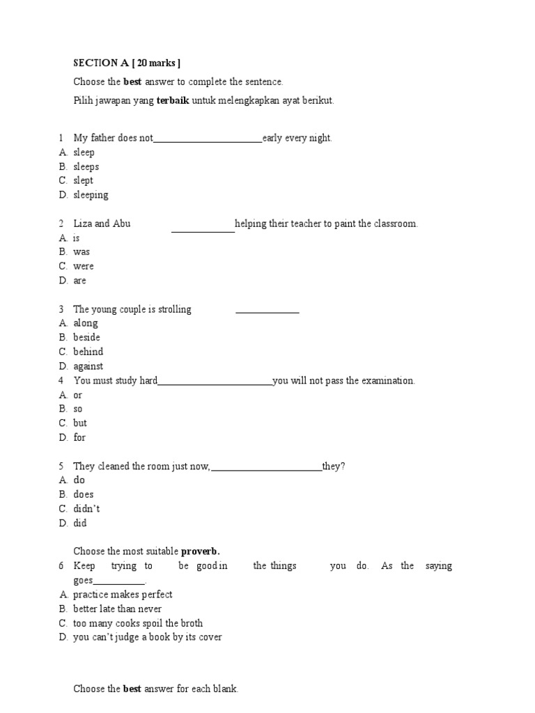 English Practice Questions for Year 5 | PDF