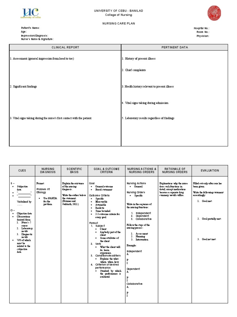 NCP Soft Copy Leones | PDF | Nursing | Medical Diagnosis