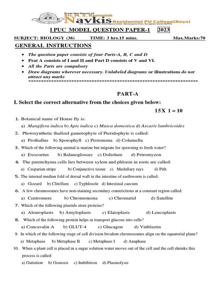 First Pu Model Paper PDF | PDF | Adrenal Gland | Hormone