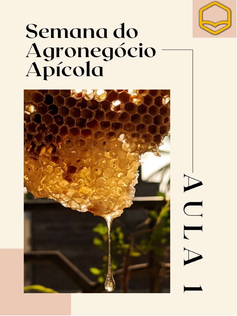 Microsoft Word - Ebook AULA 1 - COMO INICIAR O SEU EMPREENDIMENTO APÍCOLA PDF | PDF