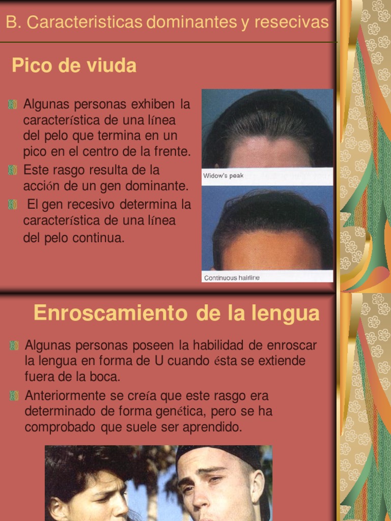 Rasgos Geneticos PDF | PDF | Dominancia (Genética) | Mano