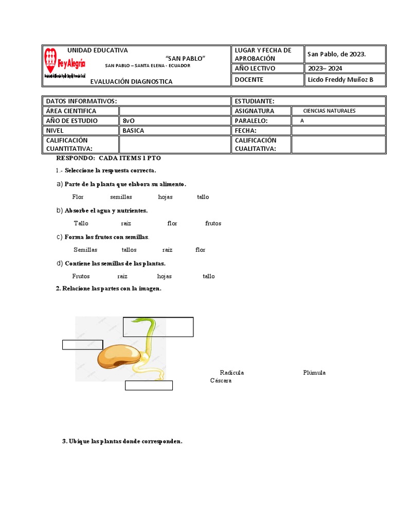 Ciencias Naturales 8vo | PDF