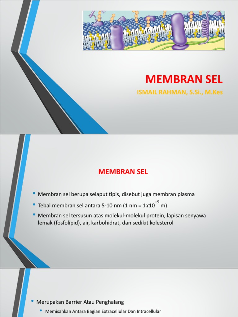 Membran Sel - PDF | PDF