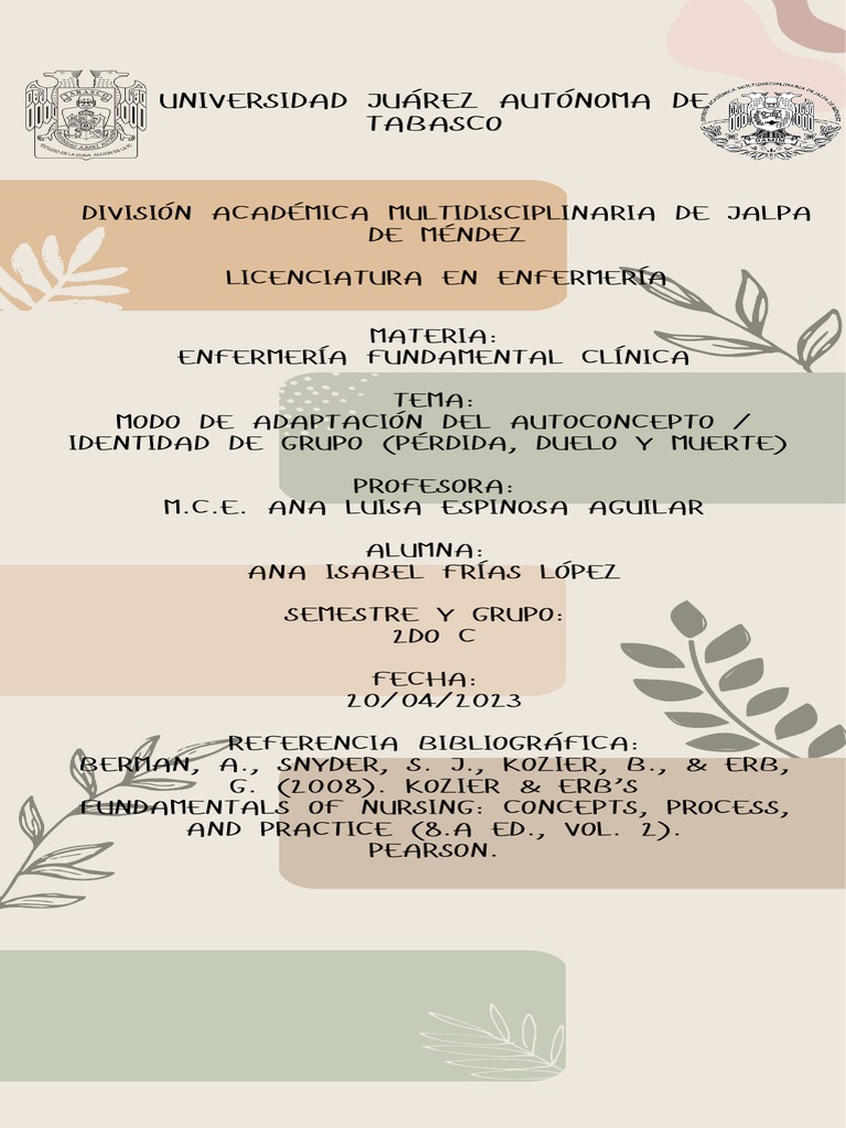 Infografía - Aifl - 2c-Enfermería | PDF | Dolor | Muerte