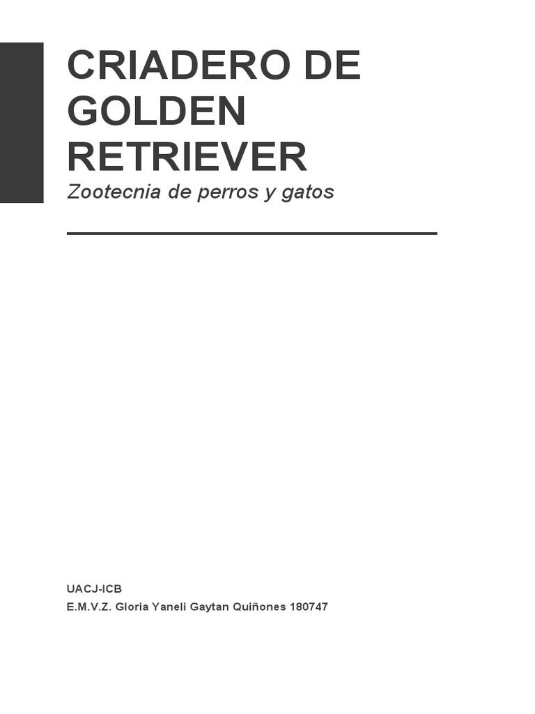 Criadero de Golden Retriever 180747 | PDF | Golden Retriever