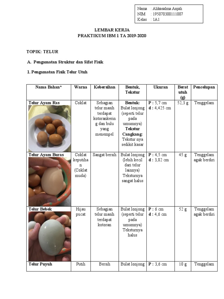 Laporan TELUR Alikasalma Anjali Kelas 1A1 | PDF